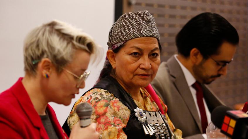 Elisa Loncon: Contraloría ordena a la Usach abrir un proceso disciplinario | T13